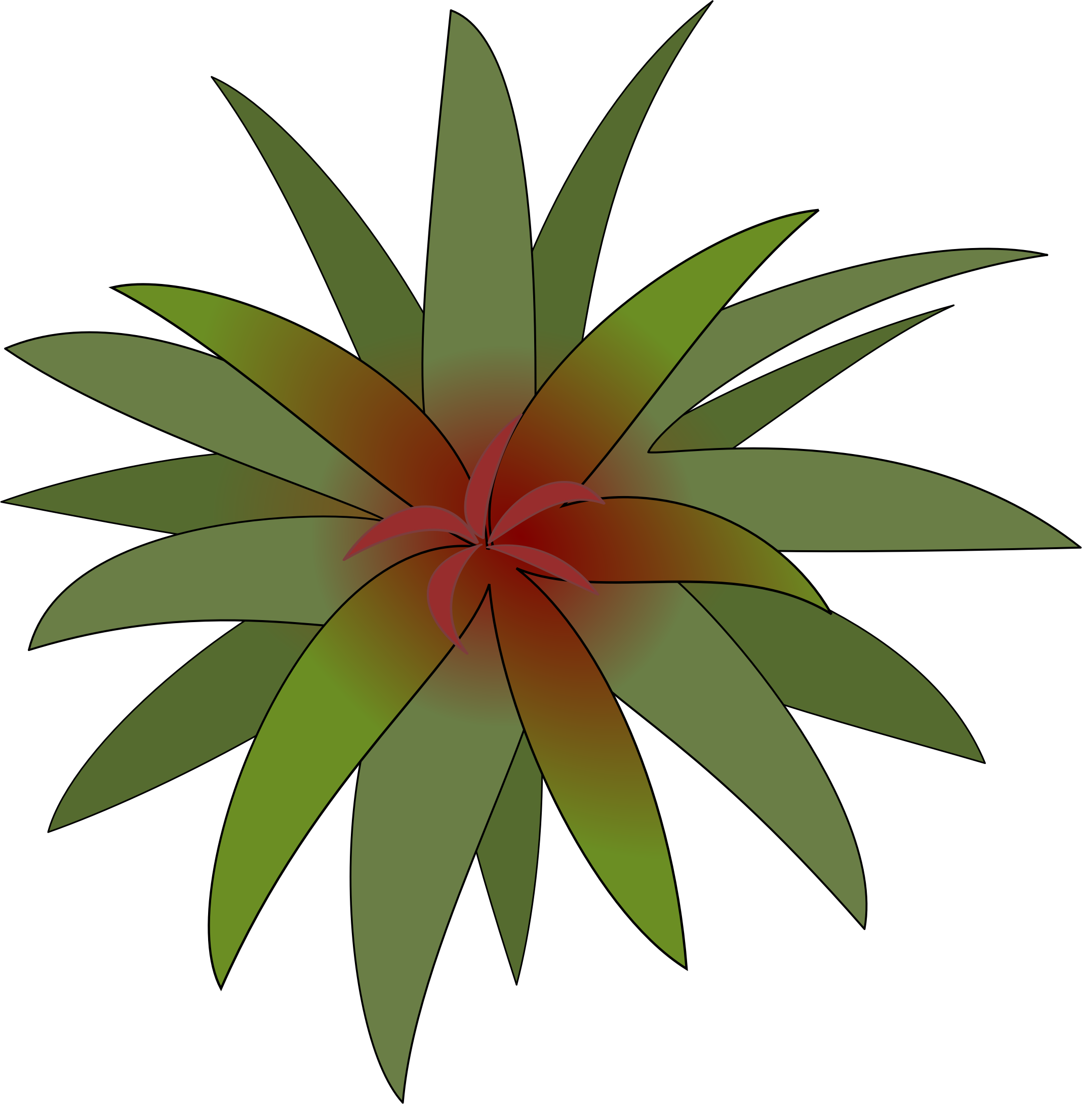 Clipart - bromelia-03