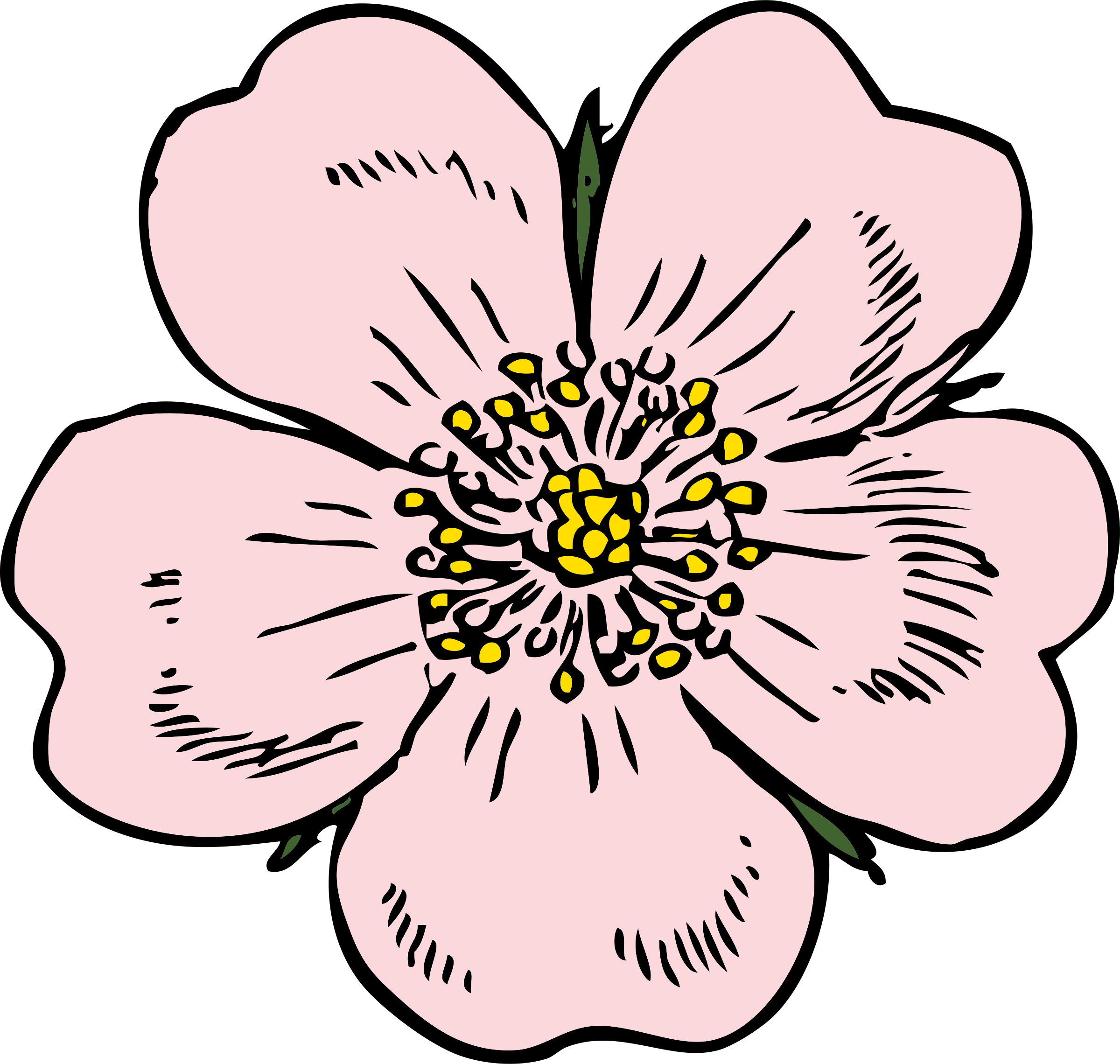 Clipart - wild rose