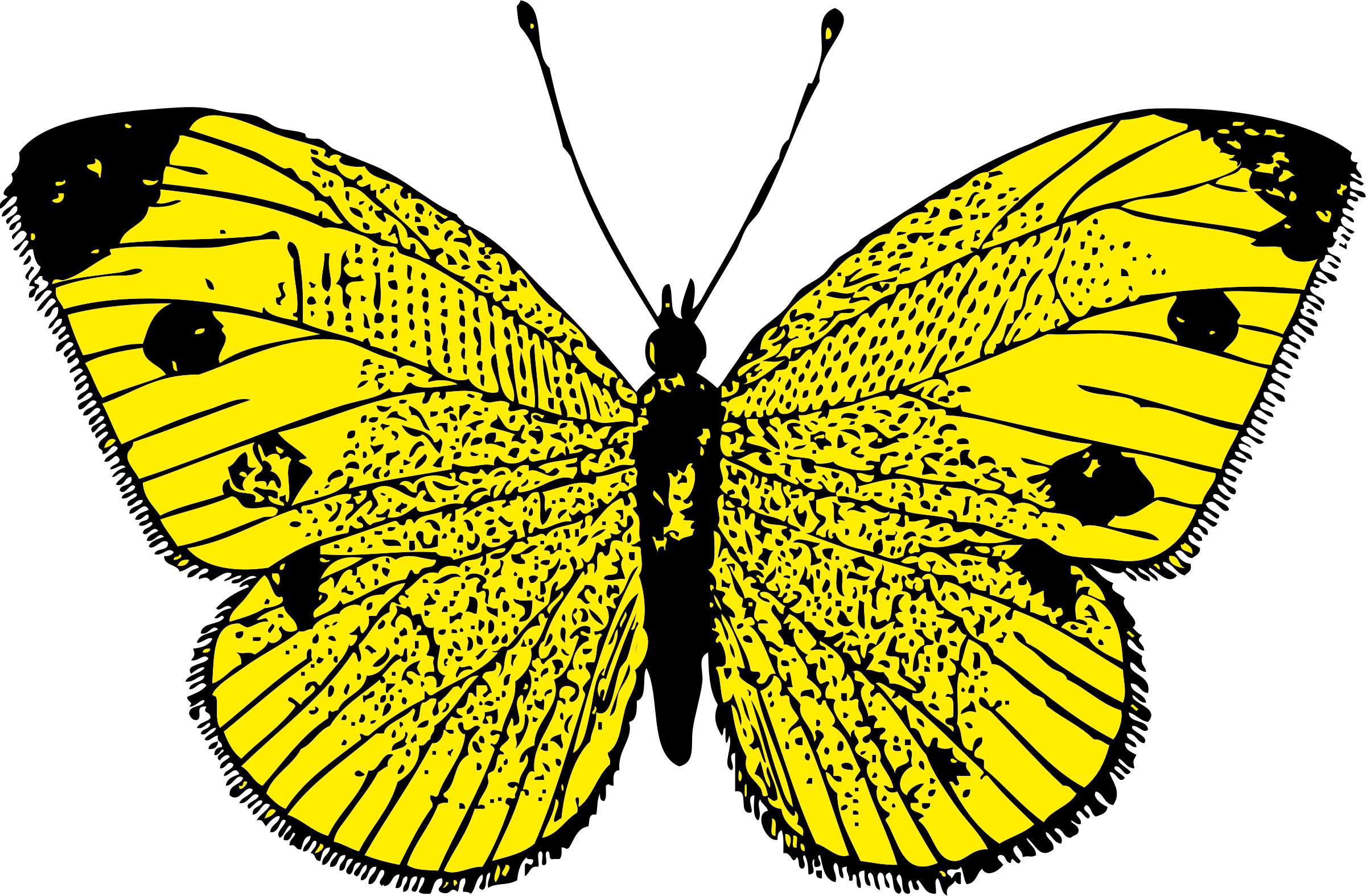 Clipart - butterfly