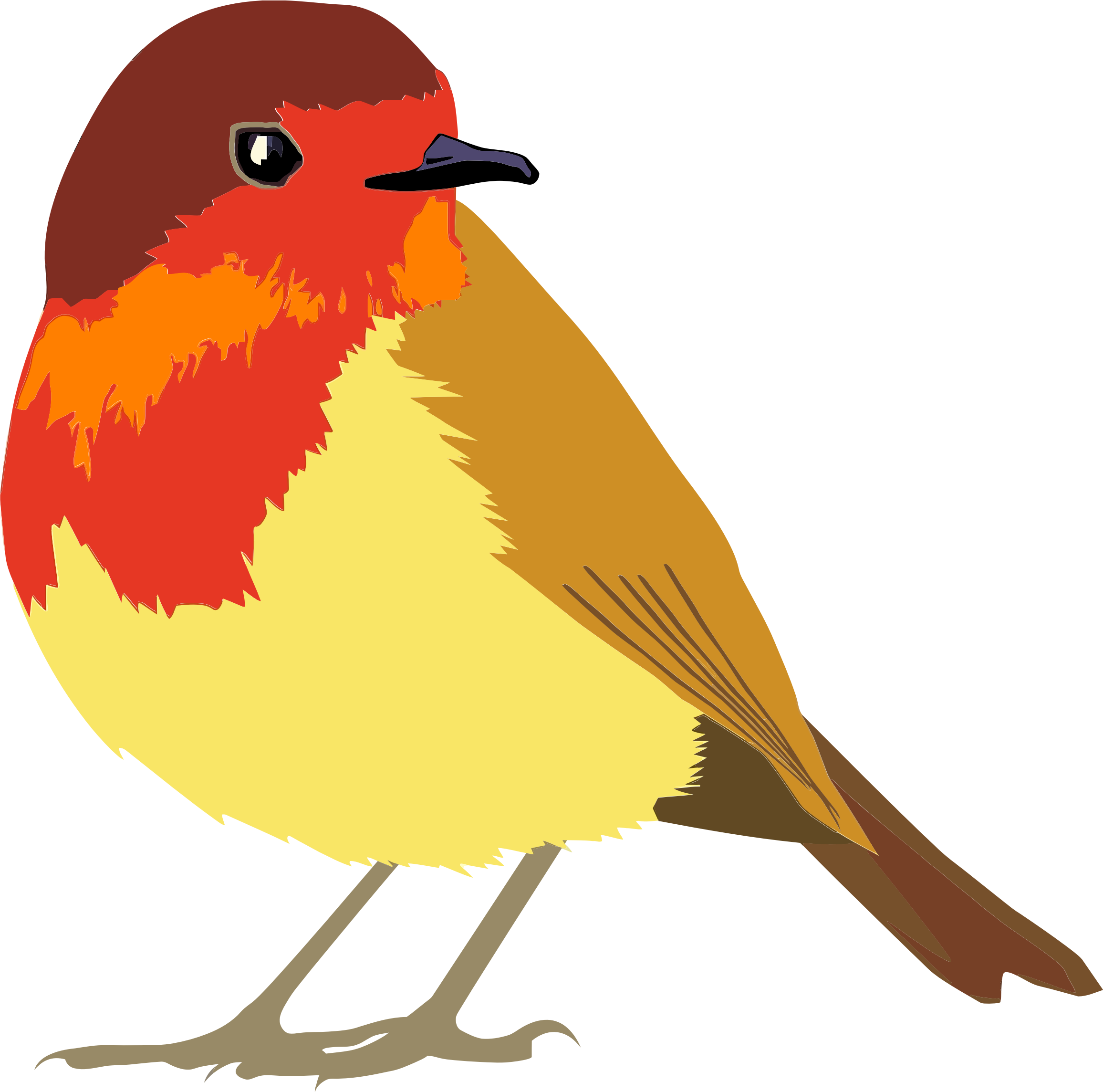 Clipart - Bird Looking Over Its Shoulder