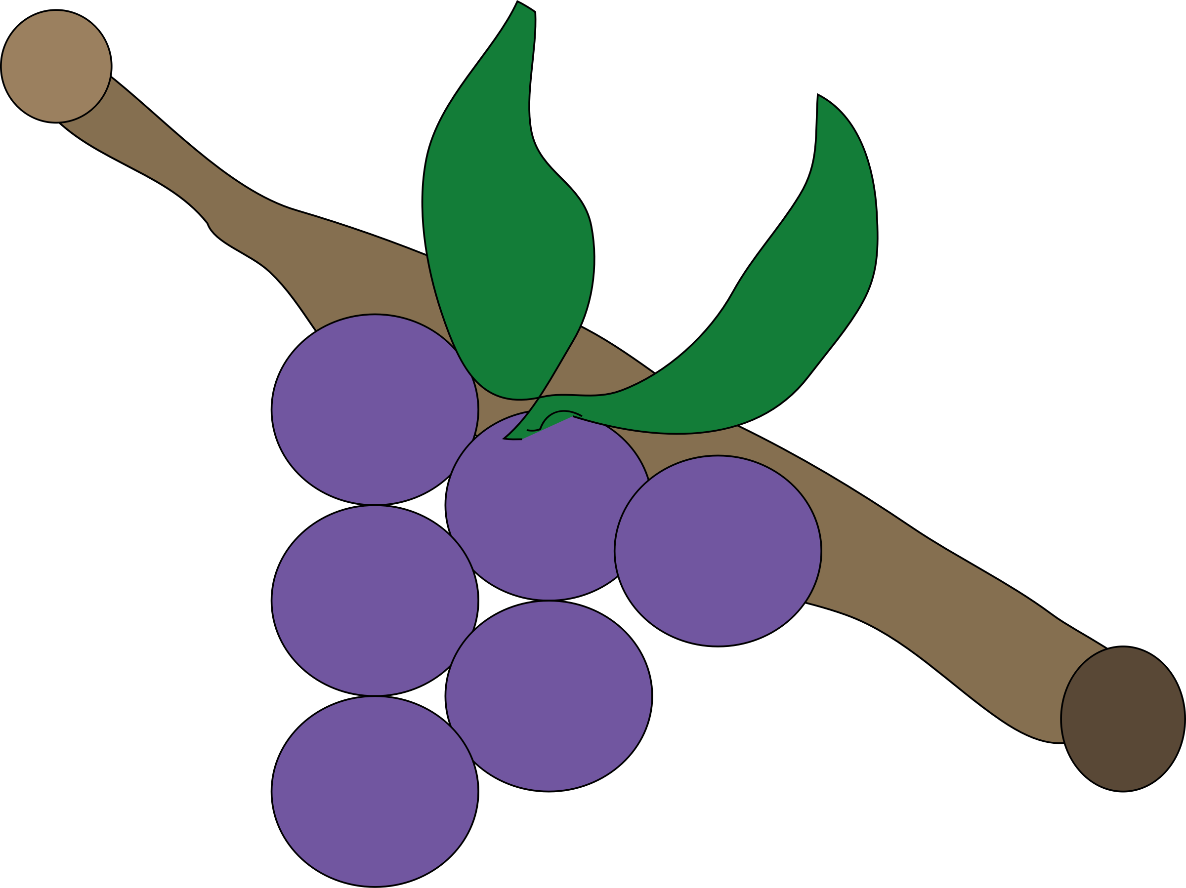 Clipart - Purple grapes