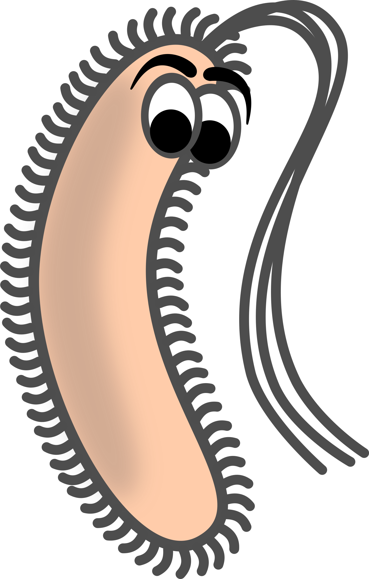 Clipart - Funny Bacillus