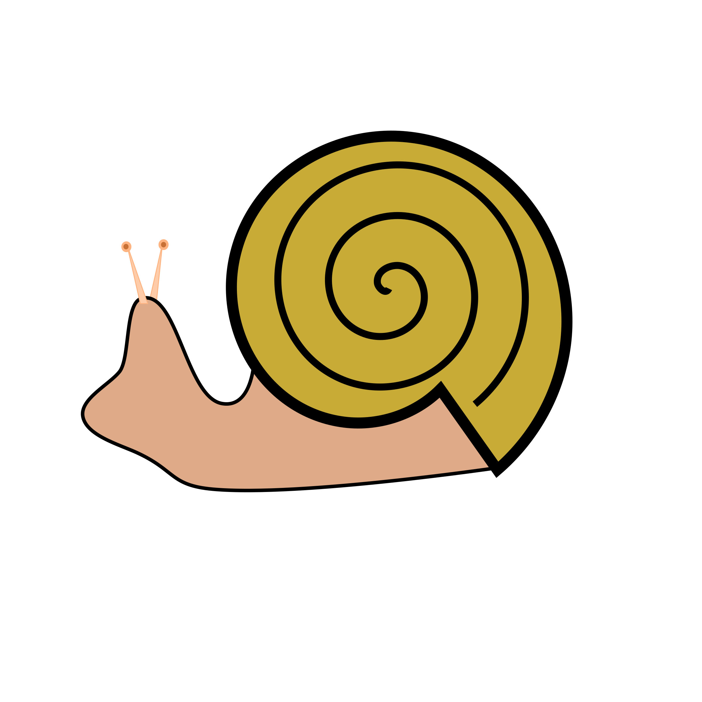 Clipart - Snail