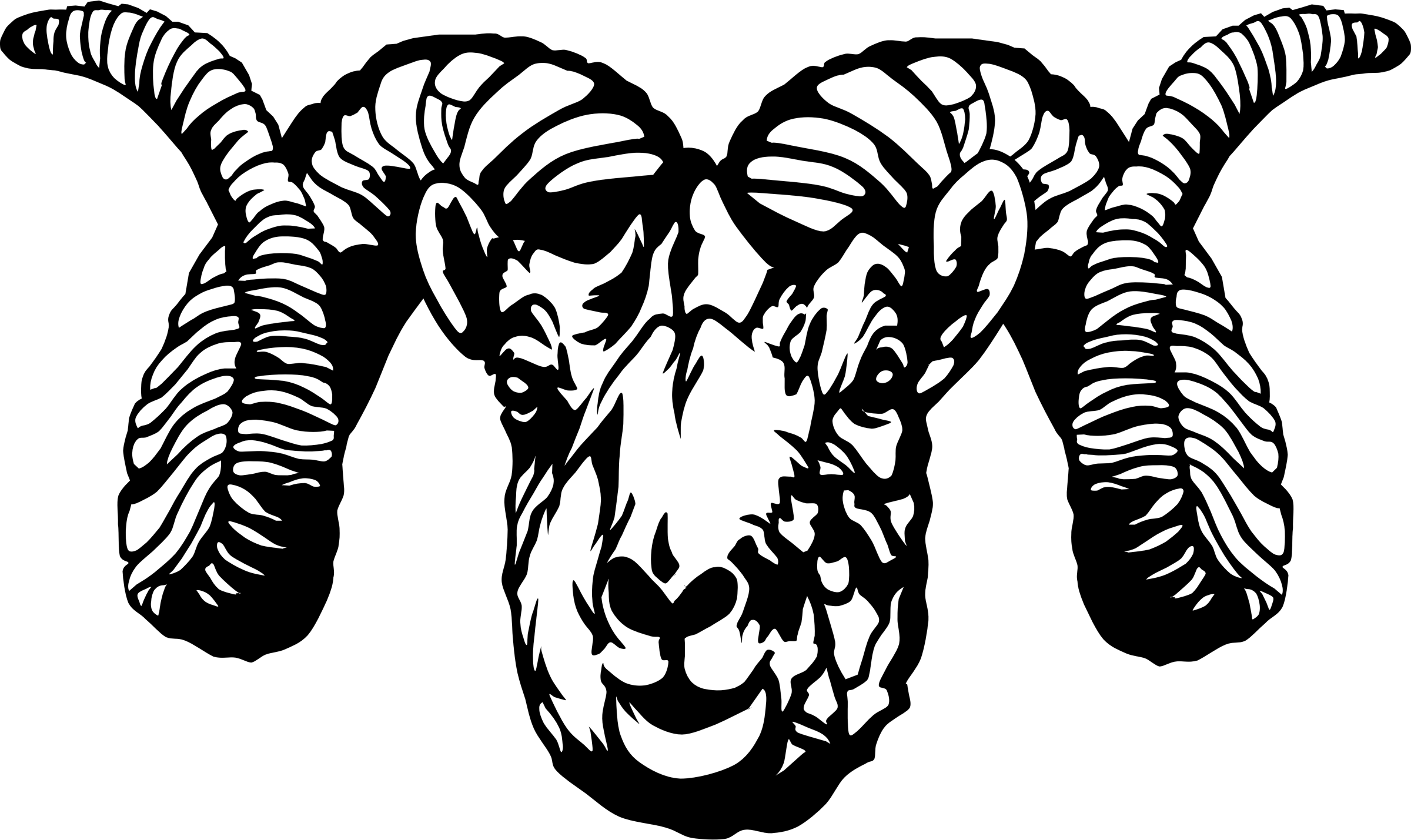 Clipart - Dall Sheep Ram (stylized)