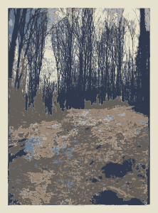 openclipart圖庫：Forest photo(s) from Lichtscheid, Wuppertal 2