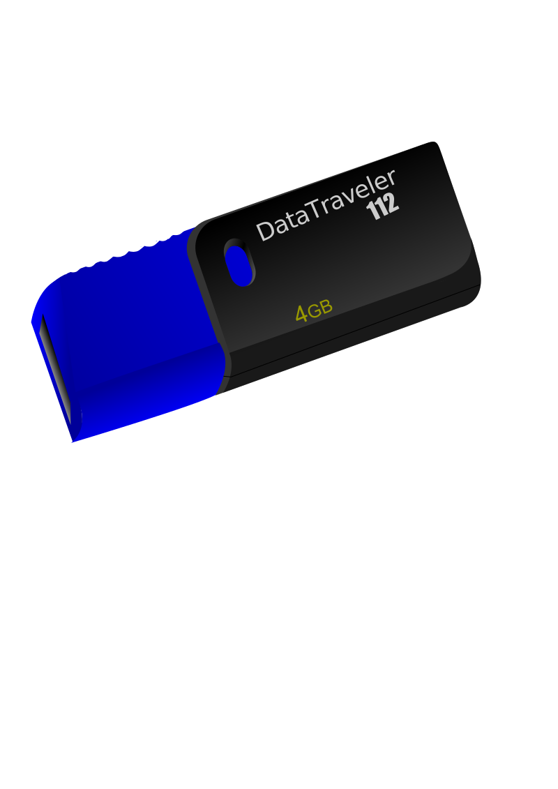 USB Flash Drive Kingston DataTraveller 112 Openclipart