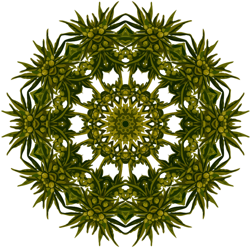 Plant Design 31 Openclipart