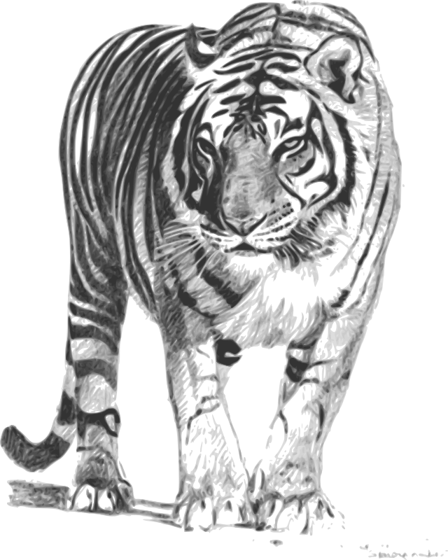 Clipart Bengal Tiger