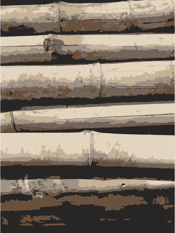 Bamboo Texture Png