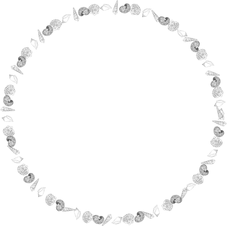Clipart - Round Shells Frame
