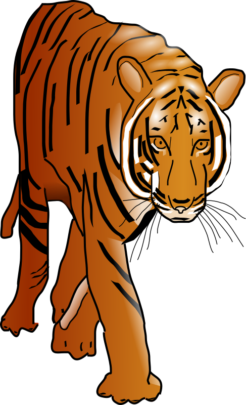 Clipart - tiger