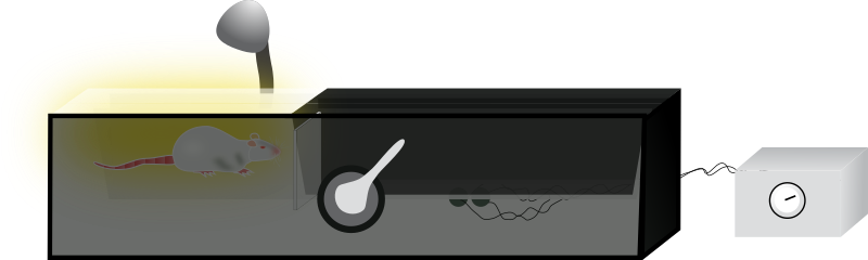 Clipart - Inhibitory Avoidance